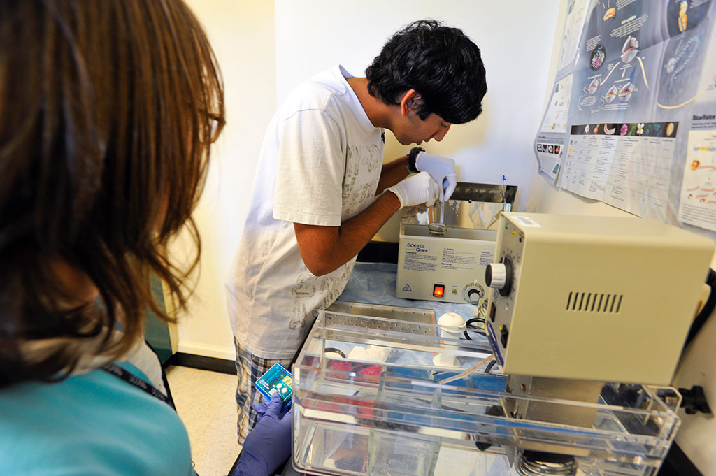 Neag School Receives $300K Award to Support Mentor Education